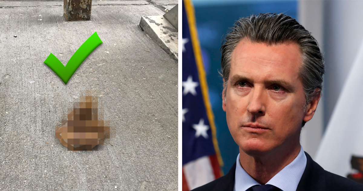 Judge Rules Piles Of Street Poop Will Count As Votes For Gavin Newsom